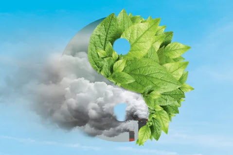 To Thrive in a Low-Carbon Future, Think Systems - WSJ