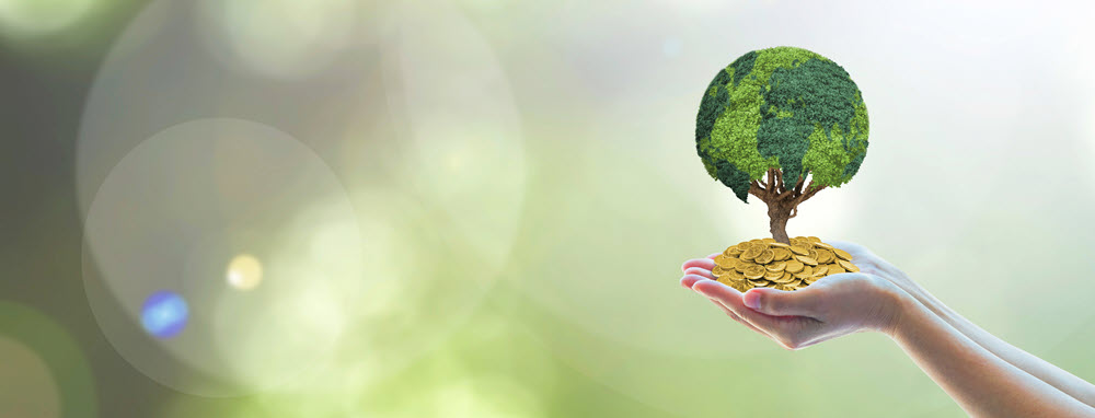 Measuring ROI and Risks of Social Impact Programs - WSJ