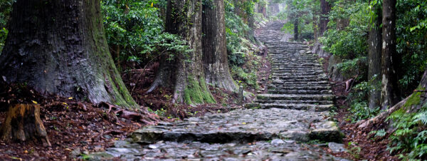 How to Chart a Credible Path to Net Zero? Try a Climate Transition ...