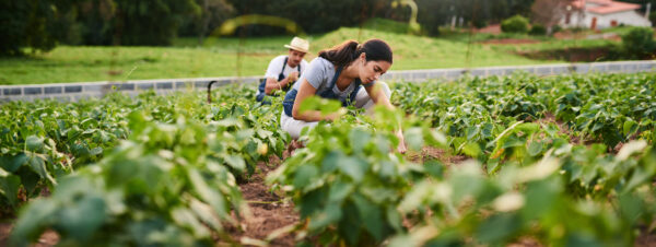 Human Sustainability: How to Drive Value for People and the Business - WSJ