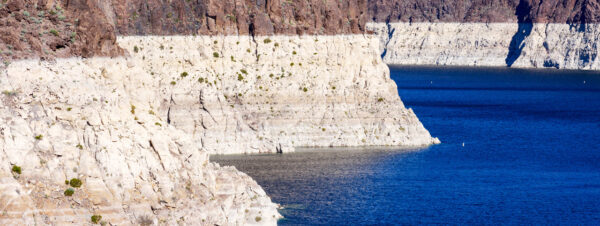 Materiality, Interoperability Aspects of Climate Reporting Merit ...