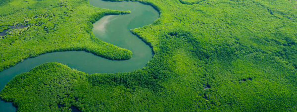 Salesforce Nature-positive Strategy Leader: Why Investing in Nature ...