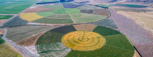 From Linear to Circular: Making the Shift to Foster Growth and ...