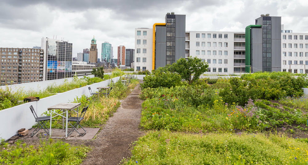 Sustainable Real Estate: A Framework to Drive Financial ROI, Manage ...