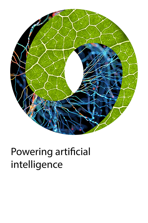 AI is Power-Hungry and Growing Fast. Here’s How to Make it Sustainable ...