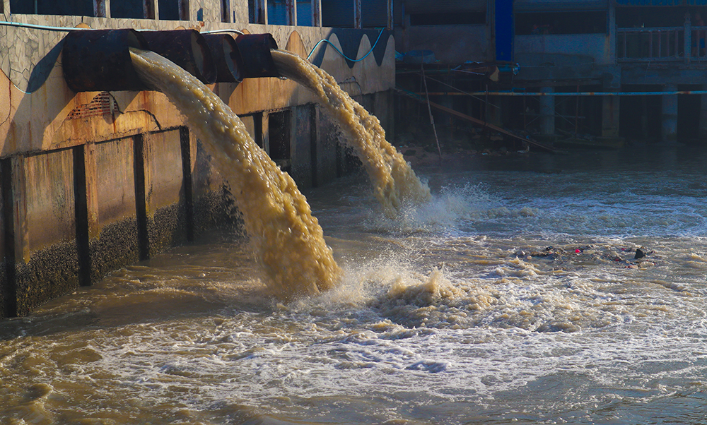 How Double Materiality Can Help Drive Business Strategy, Innovation - WSJ