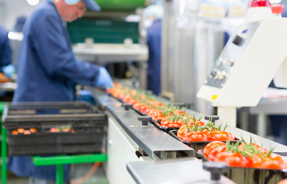 Food Processors: How Sustainability Investments Can Boost Revenues ...