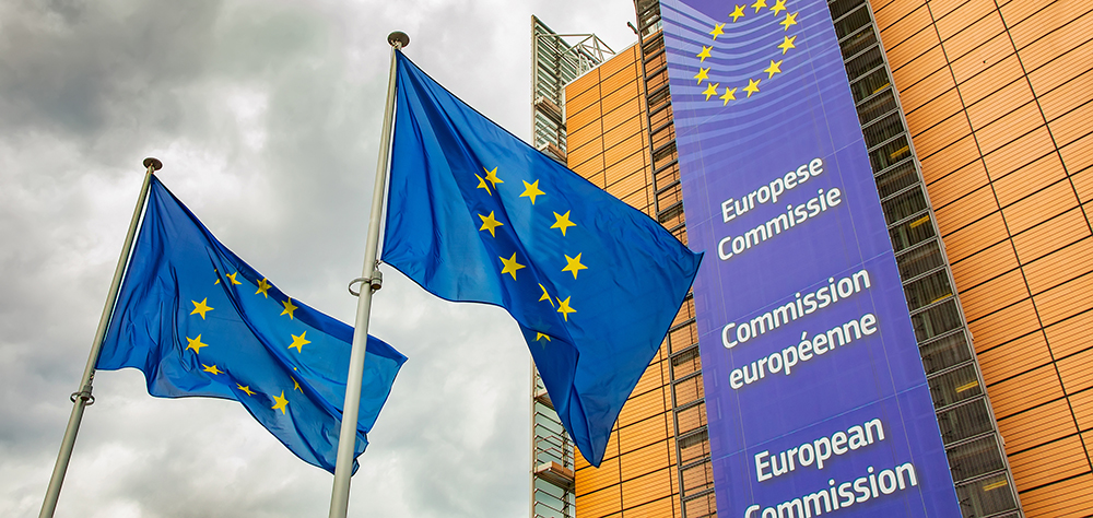 The EU’s New Approach to Sustainability: Implications for Company ...