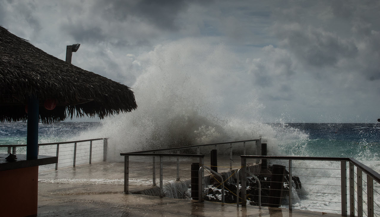 Sustainability Attitudes, Beliefs Shift as More People Endure Extreme ...