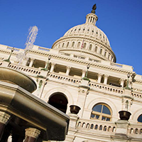 Working with Government—At Every Level - WSJ