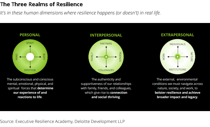 Understanding the 3 Realms of Resilience - WSJ