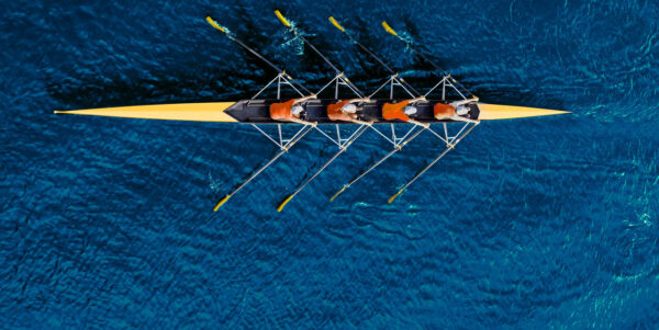 The 4 Faces of the CEO: A Blueprint for Vision, Strategy, and ...