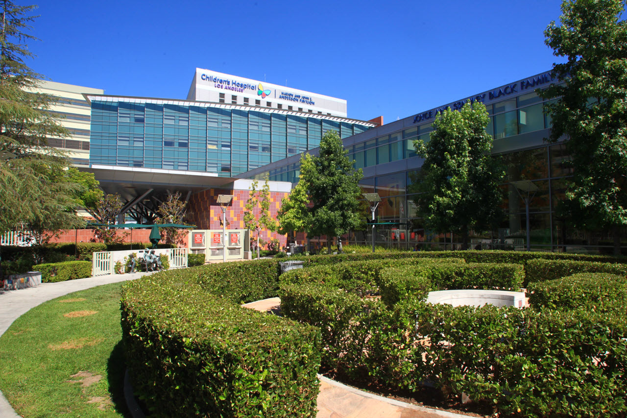 Pediatric Hospital CEO Makes a Business Case for Investing in Children ...