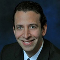 The Board’s Agenda: Subsidiary Governance in a Multidimensional ...