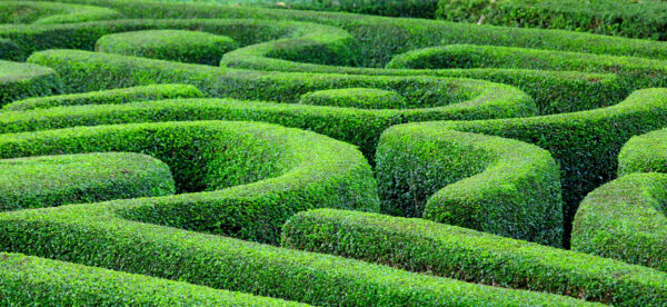 CISO’s Guide: Using AI for Cyber Defense - WSJ