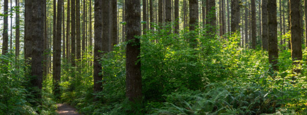 Sustainability Reporting: Tapping Existing Expertise to Improve ...