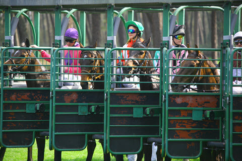 Looking to Go Public? Stand Ready - WSJ