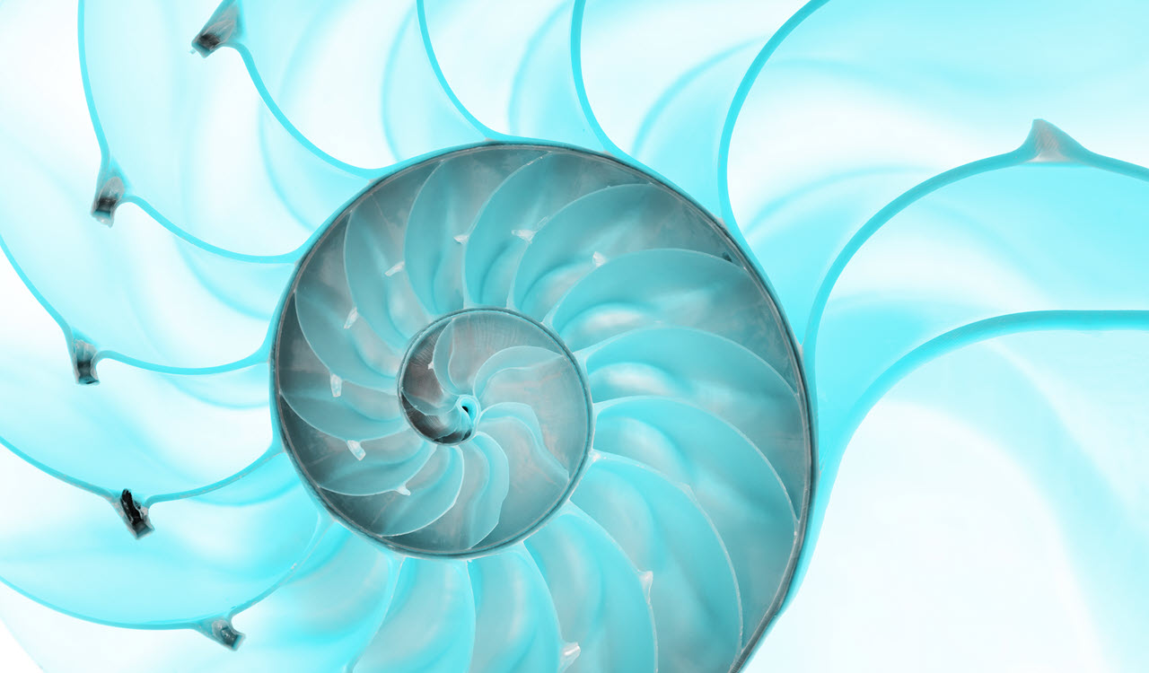 How Controllership Can Capture Value Across M&A Life Cycle - WSJ