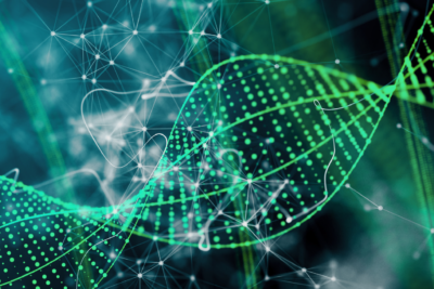 How Digitally Capable Is Your Organization? - WSJ