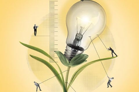 Innovation Study: How Leading Companies Blaze the Trail - WSJ