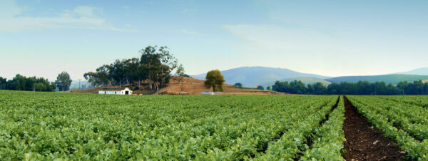 Chipotle Sustainability Leader: ‘Serving Food with Integrity Cultivates ...