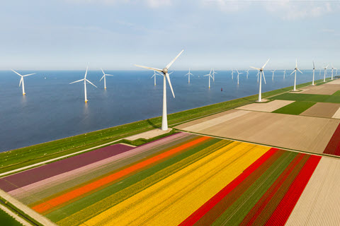 Insurers Well-Positioned to Help Clients Transition to Net Zero - WSJ