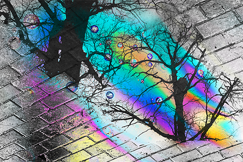 What’s Next for AI in 2025? - WSJ